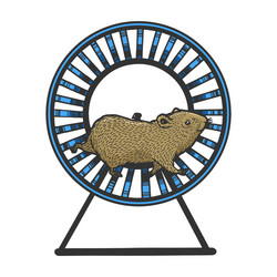Hamster Wheel Drawing