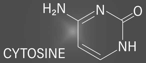 Cytosine Formula Chemical Vector Images (54)