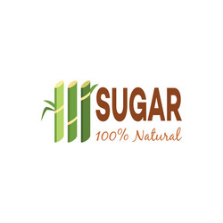Cane sugar frame with label and sugar products Vector Image