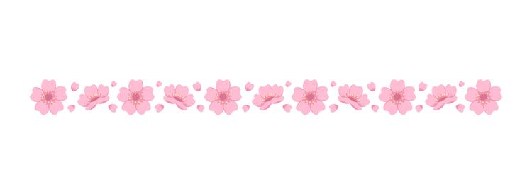 Cherry blossom silhouette divider spring floral Vector Image