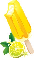 Fruit popsicle ice lolly Royalty Free Vector Image