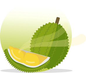 Durian Vector Images (over 3,800)