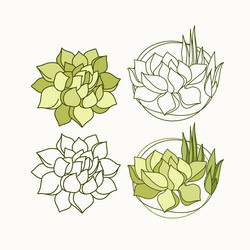 Succulent Outline Vector Images (over 9,100)