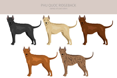 Ridgeback Vector Images (over 250)