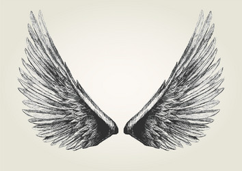 Wings Royalty Free Vector Image - VectorStock