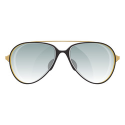 Aviator Vector Images (over 100,000)