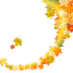 Autumn round background with maple leaves Vector Image