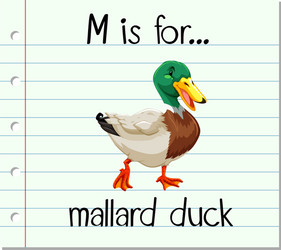 Flashcard letter m is for mirror Royalty Free Vector Image