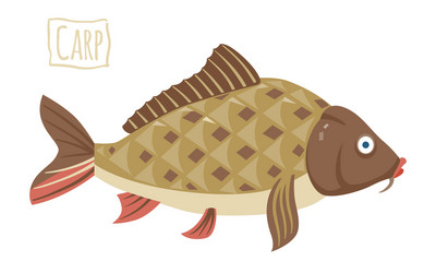 Mirror Carp Vector Images (64)