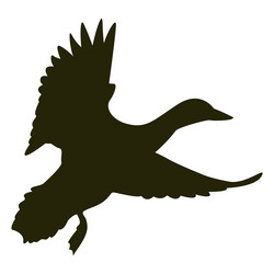 Flapping Vector Images (over 24,000)