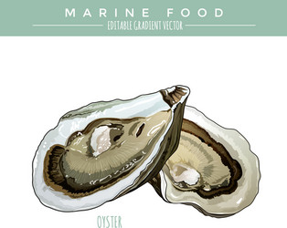 Oyster Vector Images (over 14,000)