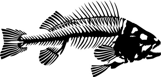 Fish skeleton Royalty Free Vector Image - VectorStock