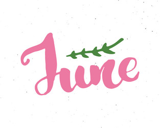 June lettering handwritten sign hand drawn grunge Vector Image