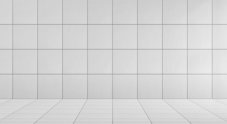 Bathroom studio with ceramic tile wall and floor Vector Image