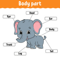 Body Part of Elephant Vector Images (36)