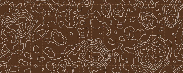 Topography map seamless pattern with grid Vector Image