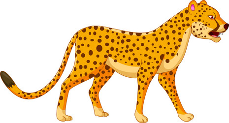 Smiling cheetah cartoon Royalty Free Vector Image