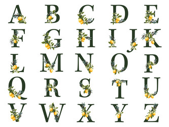 Decorated alphabet set of lemon letters Royalty Free Vector