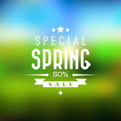 Spring sale background Royalty Free Vector Image