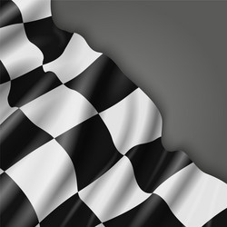 Checkered racing flag Royalty Free Vector Image