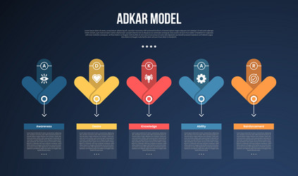 Adkar model infographic template with vertical Vector Image