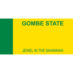 Flag circle intersex flat Royalty Free Vector Image