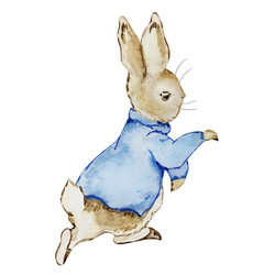 Peter Rabbit Vector Images (over 130)