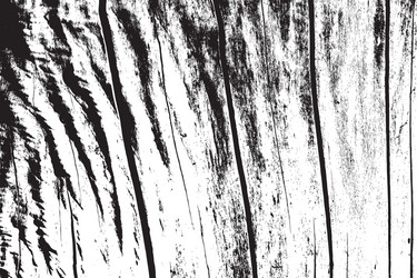Vertical dry wood texture Royalty Free Vector Image