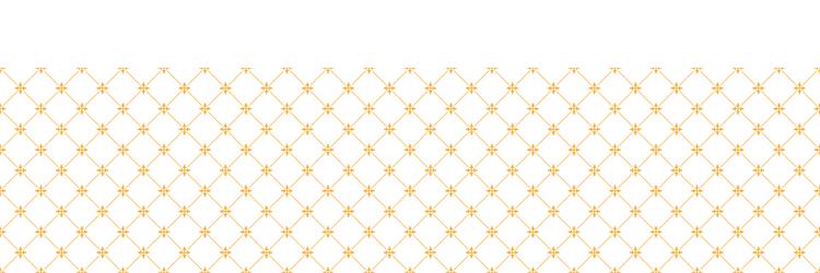 Seamless geometric pattern of diagonal lines Vector Image
