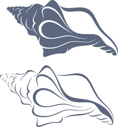 Shell Vector Images (over 110,000)