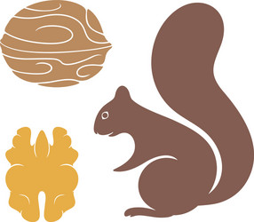 Squirrel Royalty Free Vector Image - VectorStock