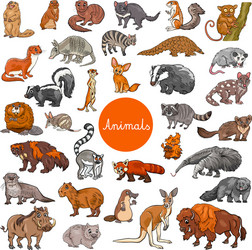 Cartoon wild animal characters big set Royalty Free Vector