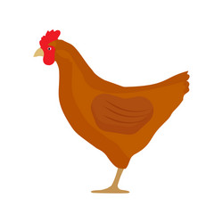 Chick Side Chicken Vector Images (over 130)