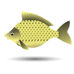 Whitefish Vector Images (over 100)