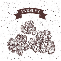 Parsley Label Vector Images (over 480)