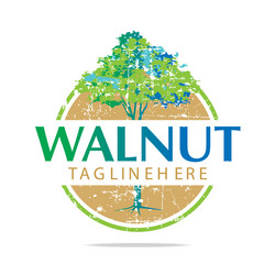 Logo for walnut nuts Royalty Free Vector Image