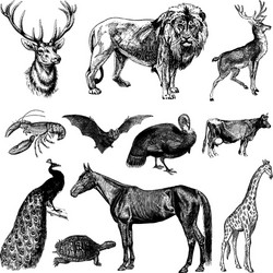 Animals Vector Images (over 2.1 million)