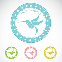 Hummingbird Border Vector Images (over 130)