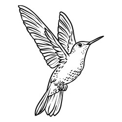 Hand drawn hummingbird outline Royalty Free Vector Image