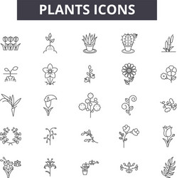 Plants line icons signs set design collection Vector Image