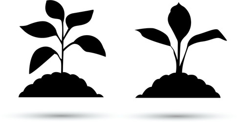 Biology little plant Royalty Free Vector Image