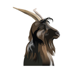 Goat Profile Vector Images (over 930)