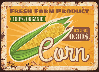 Corn Poster Vector Images (over 5,900)