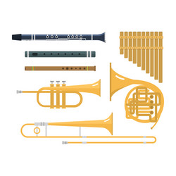 Wind musical instruments Royalty Free Vector Image