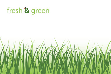 Green grass sign Royalty Free Vector Image - VectorStock