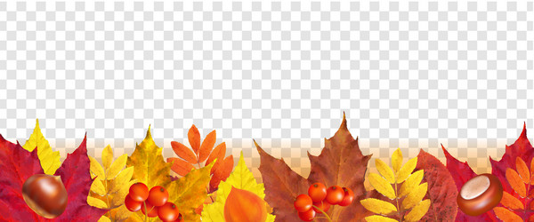 Fall Border Transparent Background Vector Images (over 2,600)