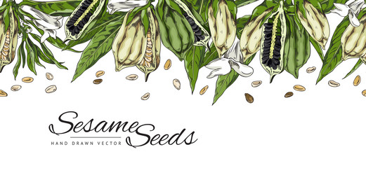 Sesame seeds seamless border hand drawn sketch Vector Image
