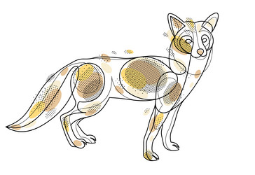 Cute red fox adorable wild animal linear drawing Vector Image