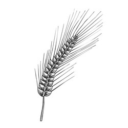 Railroad Spike Vector Images (3)