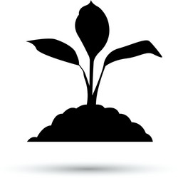 Biology little plant Royalty Free Vector Image